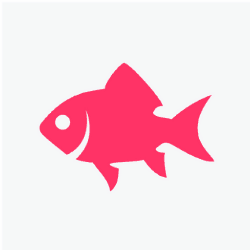 Best Sponge Filter - The Witty Fish