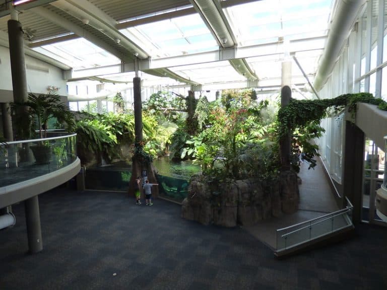 Best Aquarium in Every State - The Witty Fish